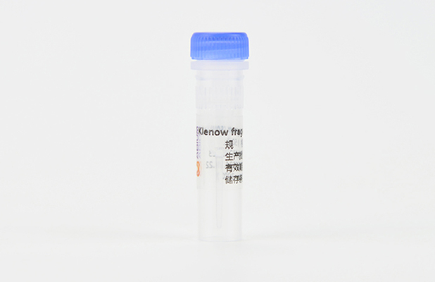 Klenow Fragment（5U/μL，50U/μL)-NGS Library-Ardent Biomed LLC